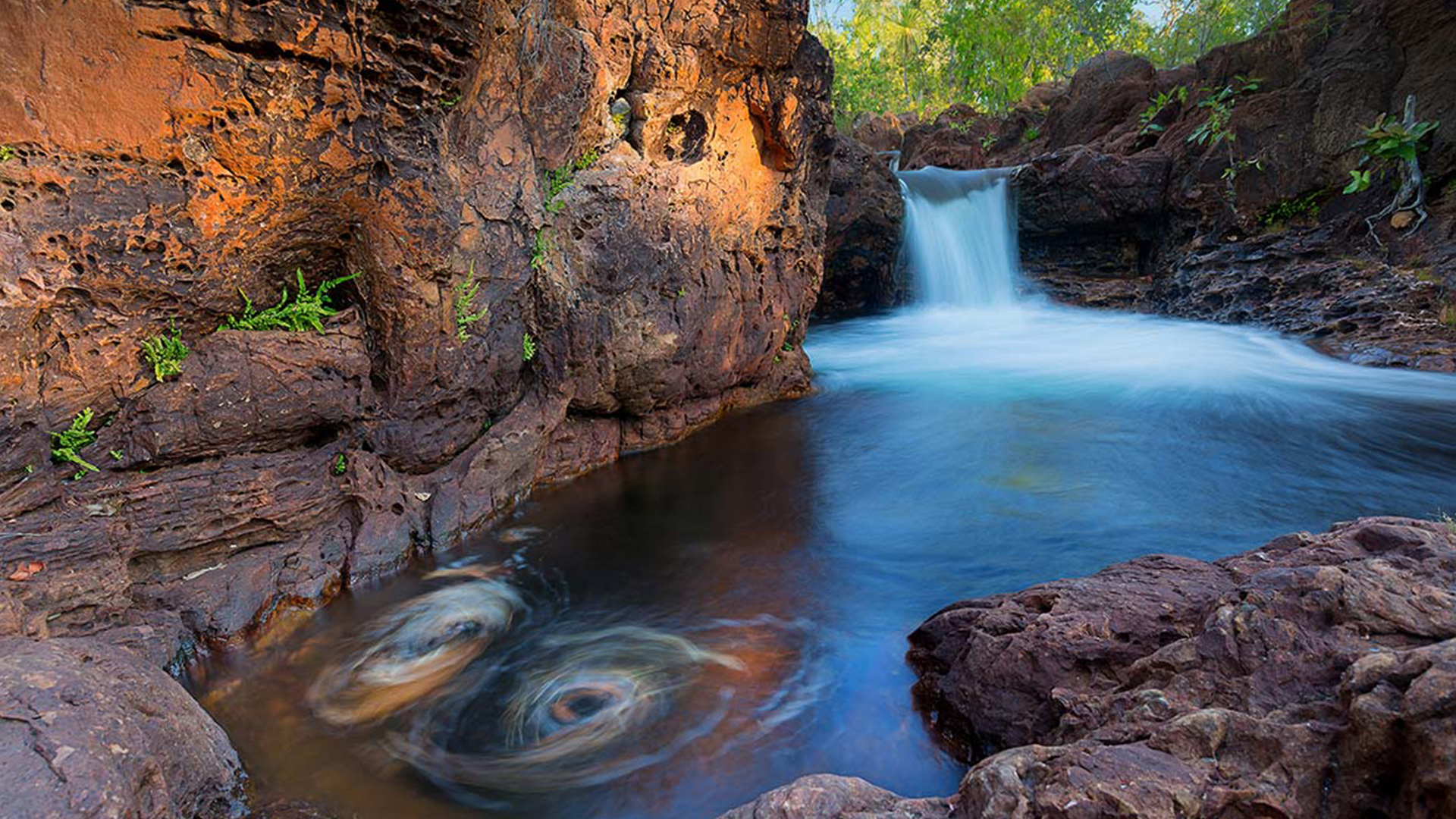 Exploring Litchfield: A Day of Waterfalls, Wonder, and Wildlife ...