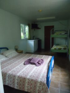 Pandanus on Litchfield - Litchfield National Park