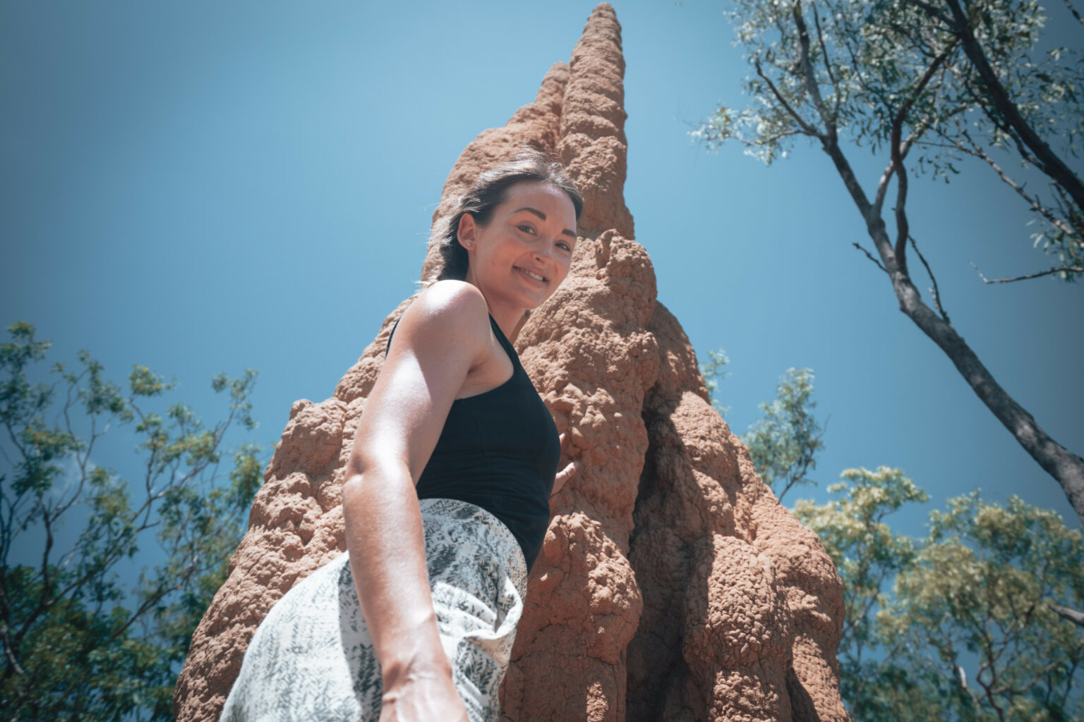Magnetic Termite Mounds: Nature's Architectural Marvels