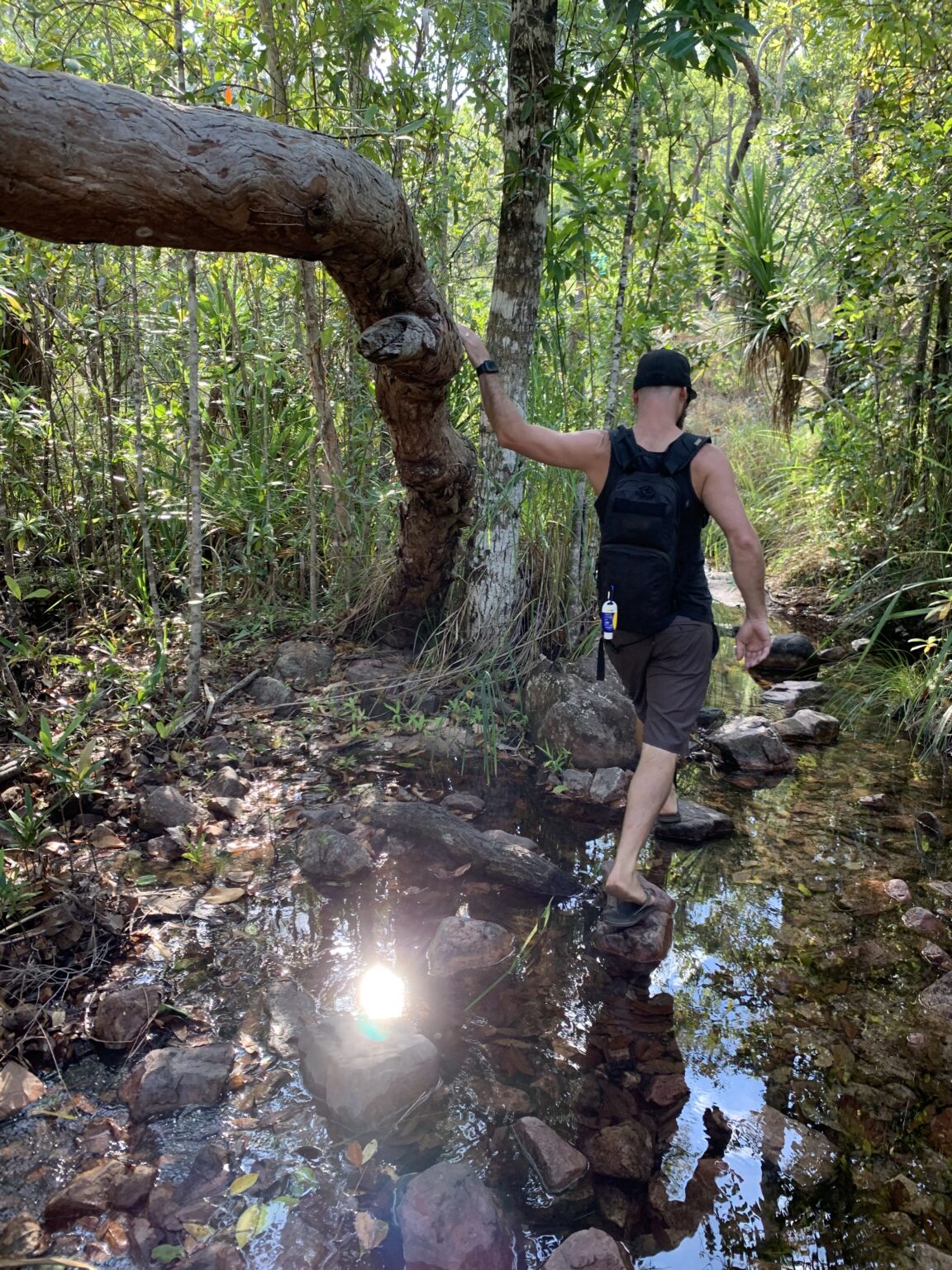 Tjaynera Falls (Sandy Creek Falls) - A Complete Guide