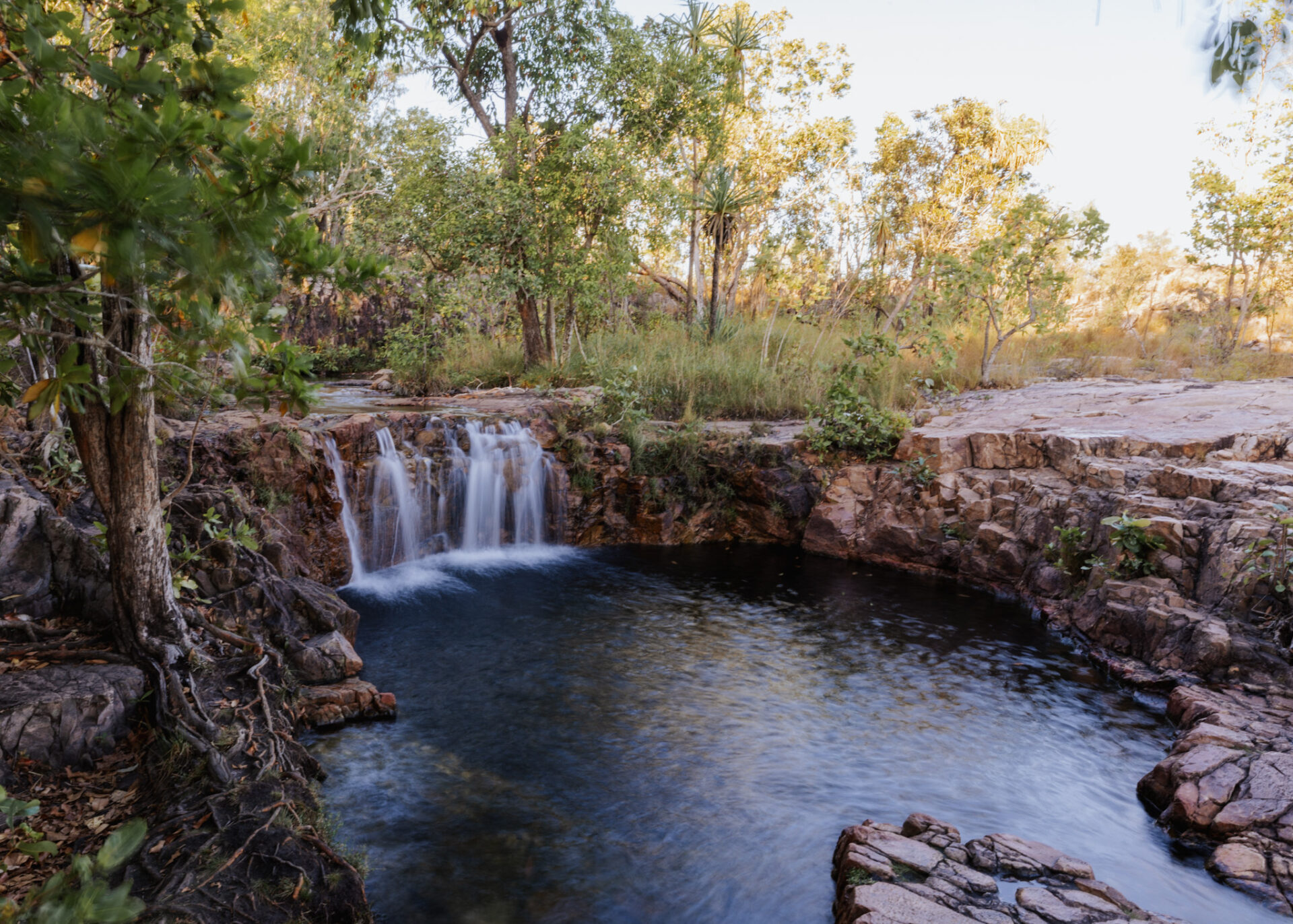 Top Litchfield National Park Swimming Holes – 2WD/4WD Guide