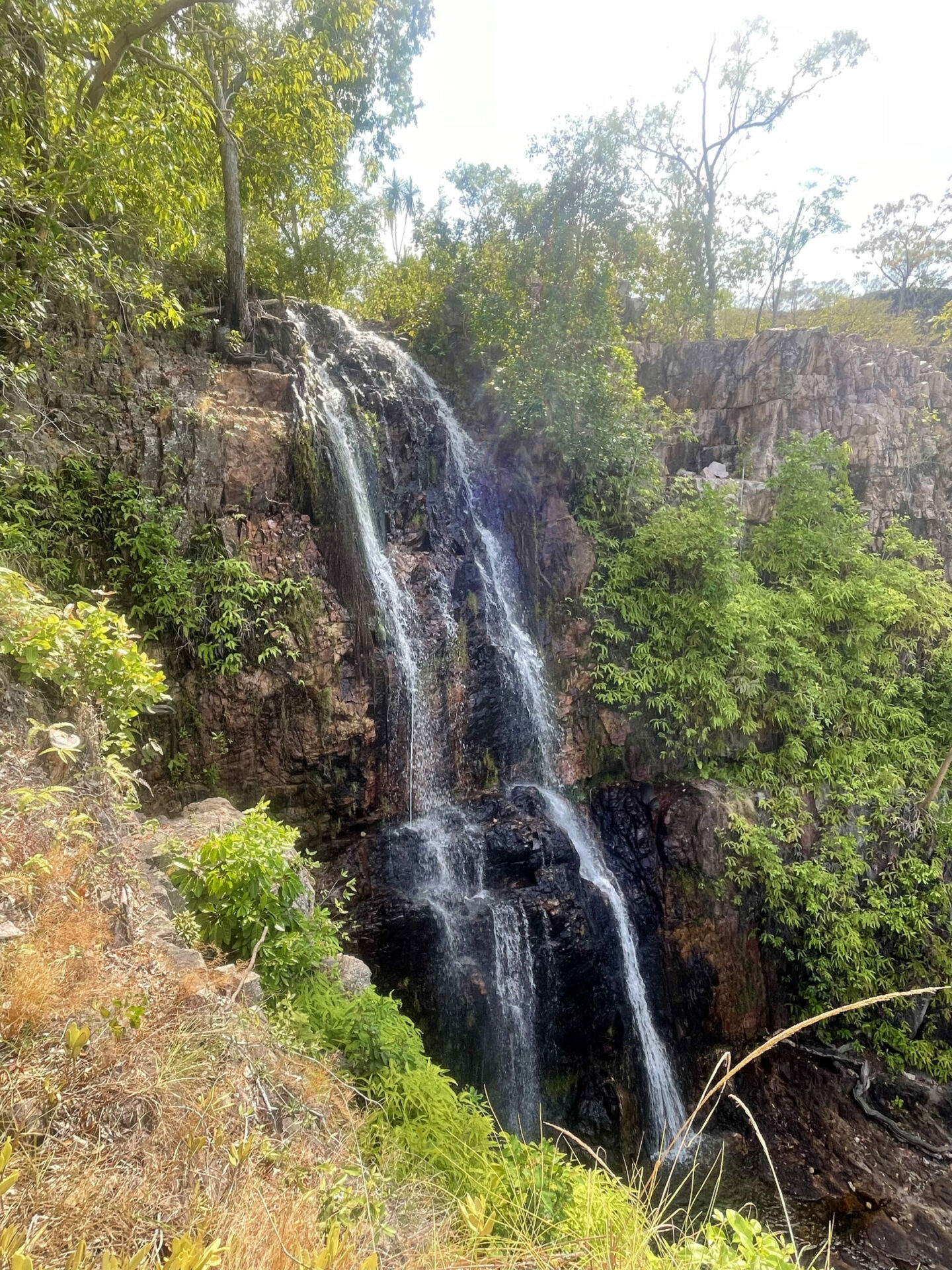 Litchy Loop: A Traveller's Two-Day Litchfield Itinerary