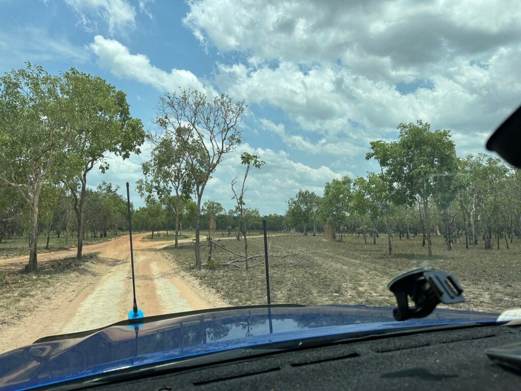 Exploring Reynolds Track in Litchfield National Park