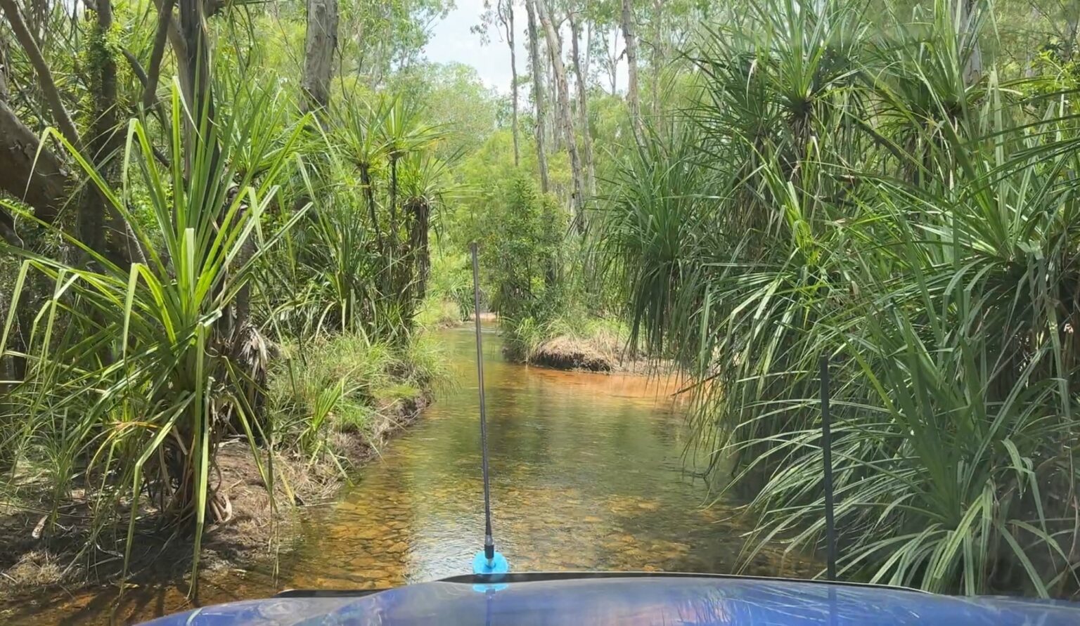 Exploring Reynolds Track in Litchfield National Park
