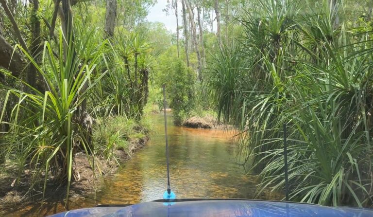 Exploring Reynolds Track in Litchfield National Park